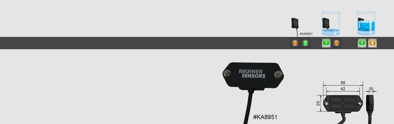 Rechner sensors: capacitive sensors & level measurement systems